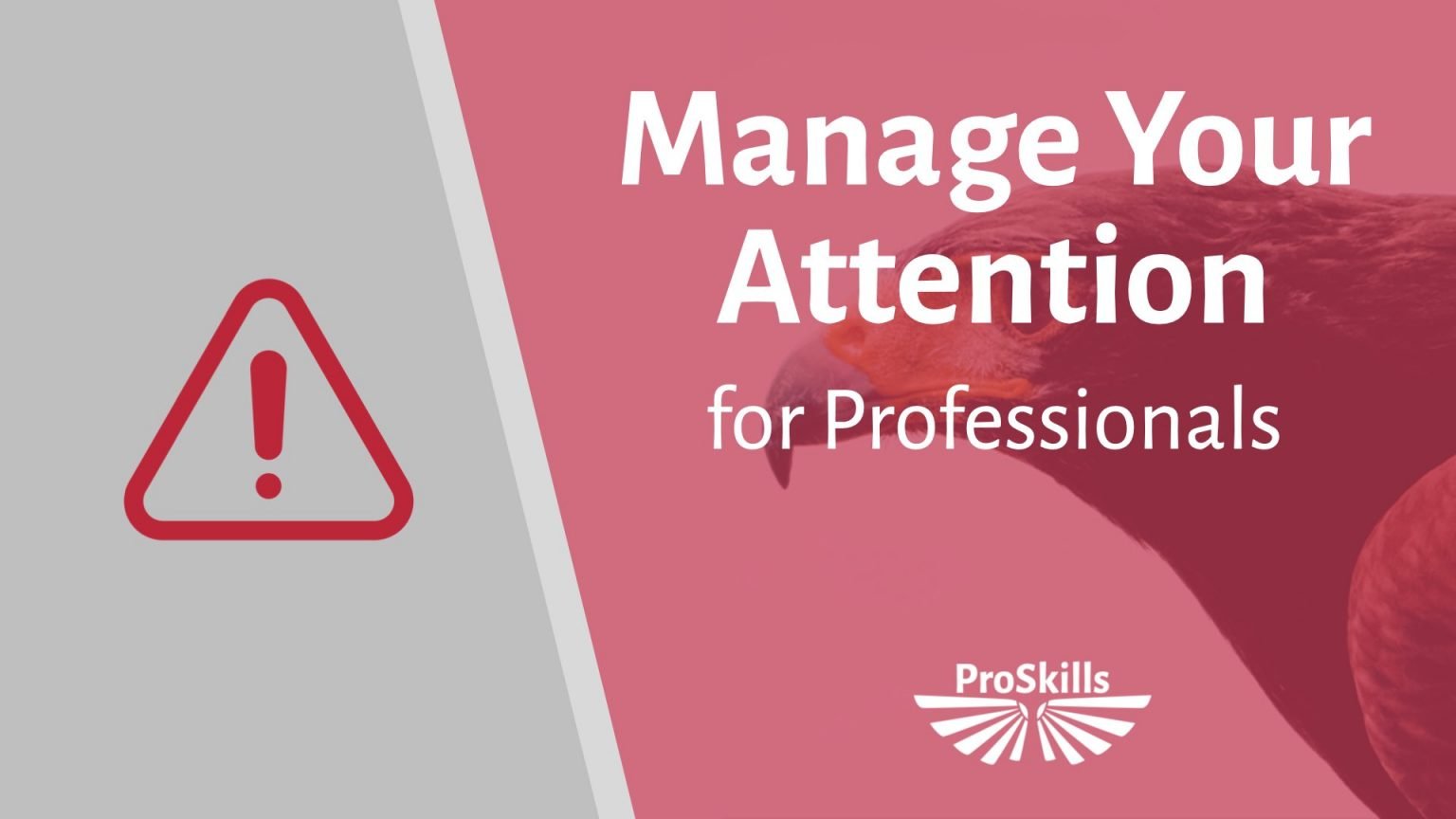 How does managing your attention improve your focus? - Professional ...